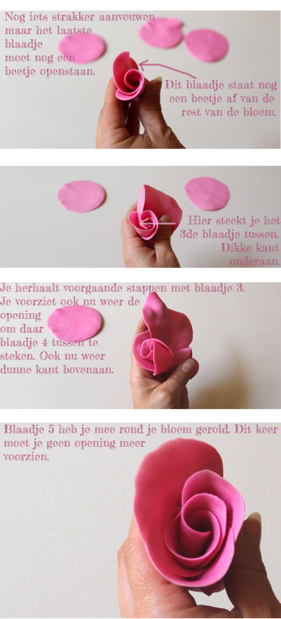 Roosjes voor op taart zelf maken - Tea Boon